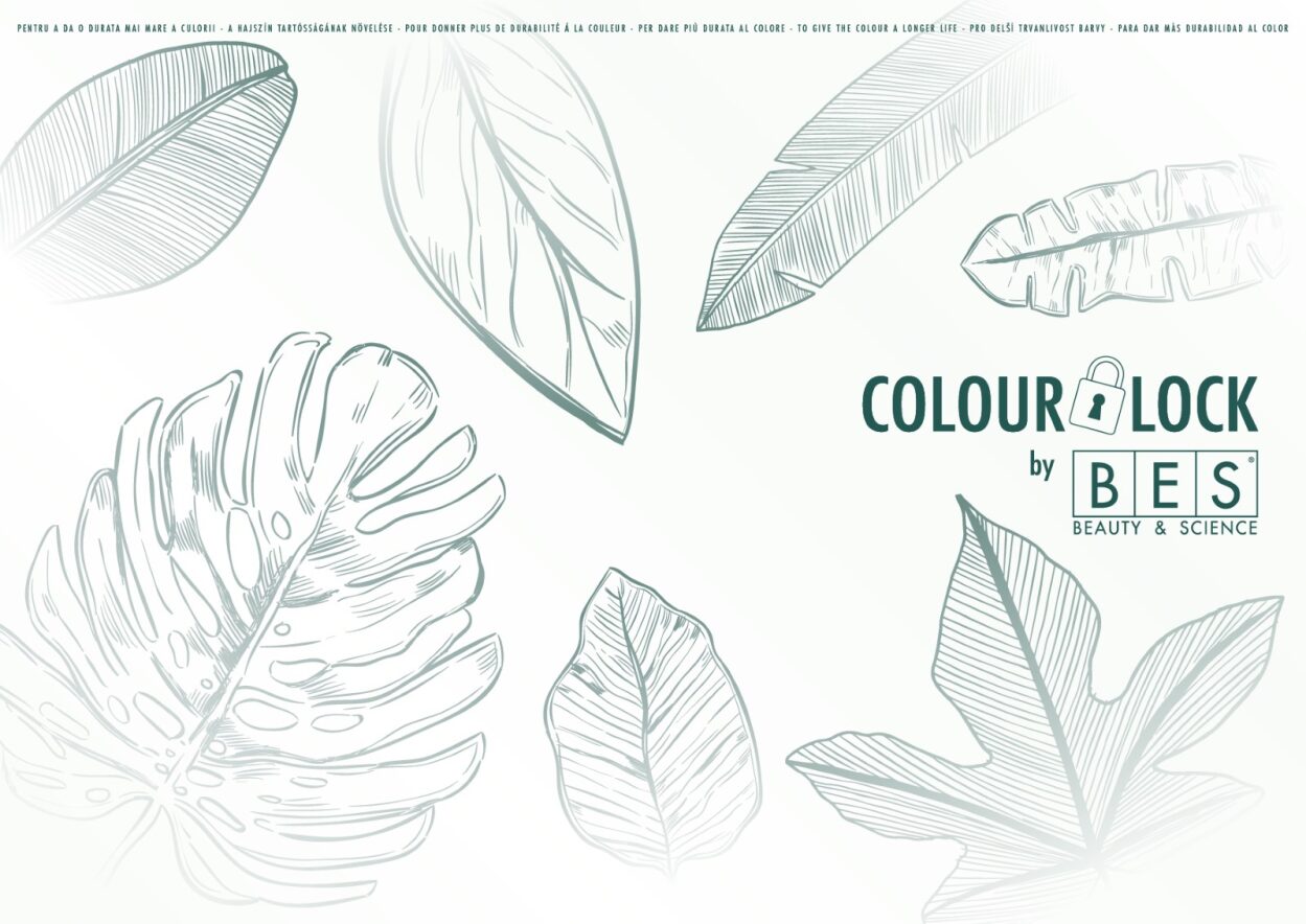 BES Colour Lock pH Balancing Treatment – BES Distributions