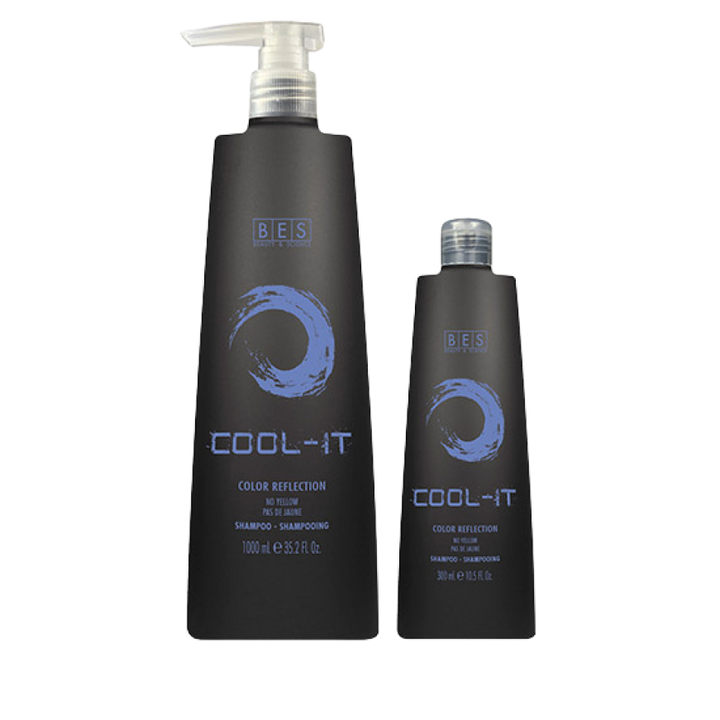 BES Distribuciones de América – BES Distributions